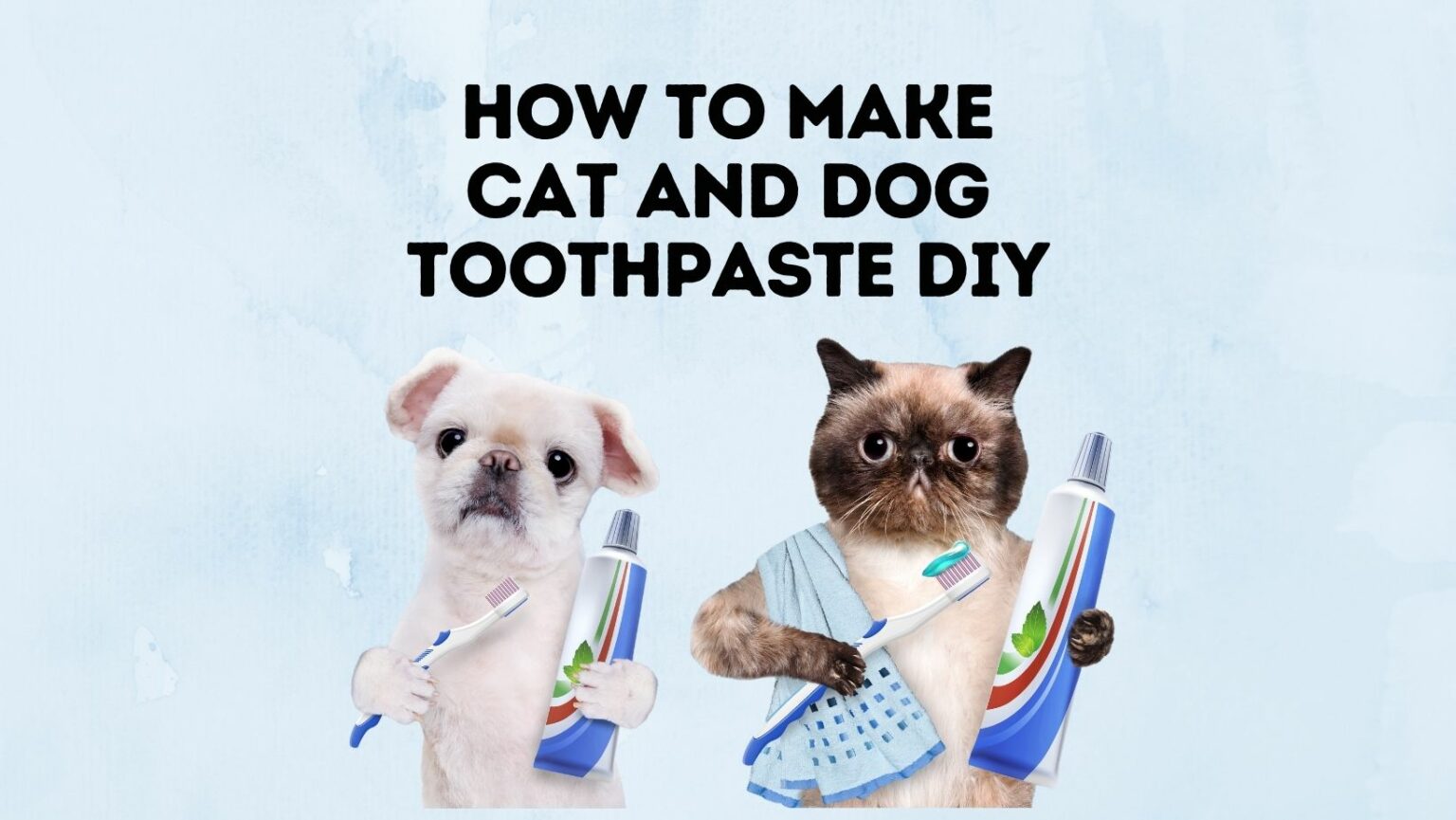 How To Make Cat And Dog Toothpaste DIY? - Power Tooth Paste